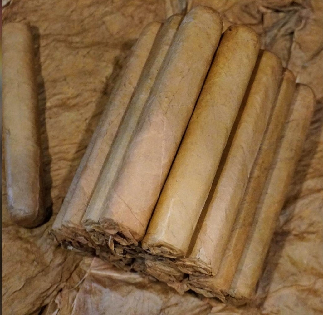 Milk Cream Infused Gordo